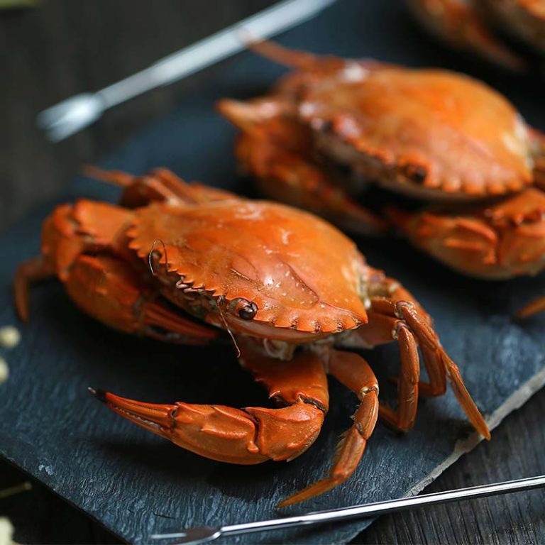 Sustainable Seafood Solutions Clients & Projects